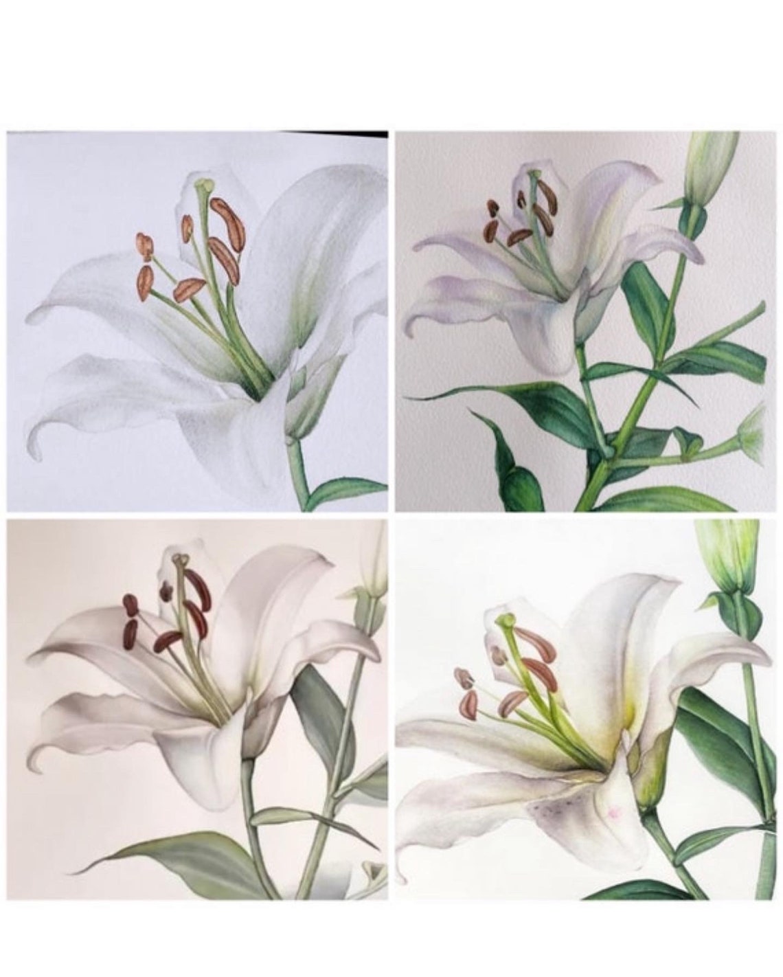 How to Paint Lily, Easy Watercolor Tutorial, Step by Step Flower Video ...
