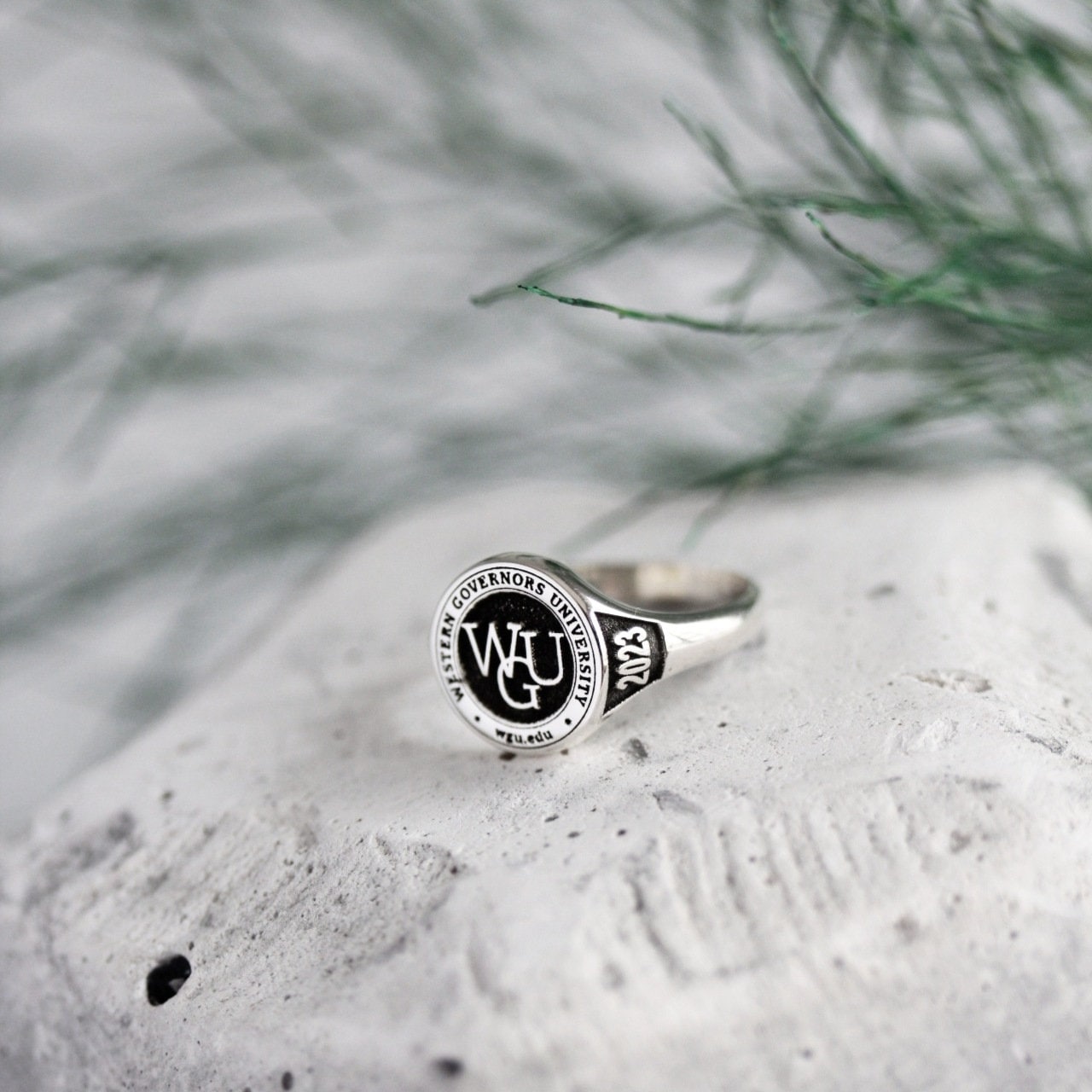 Graduation Rings-class Rings-school Rings-senior Class - Etsy