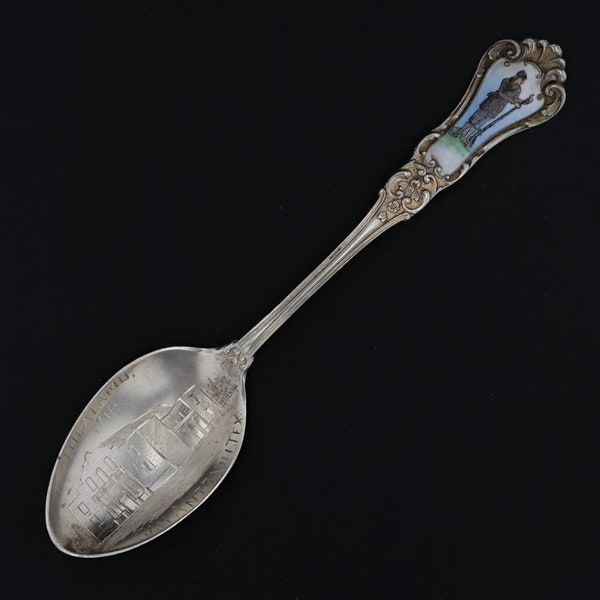 Texas Souvenir Spoon - Etsy