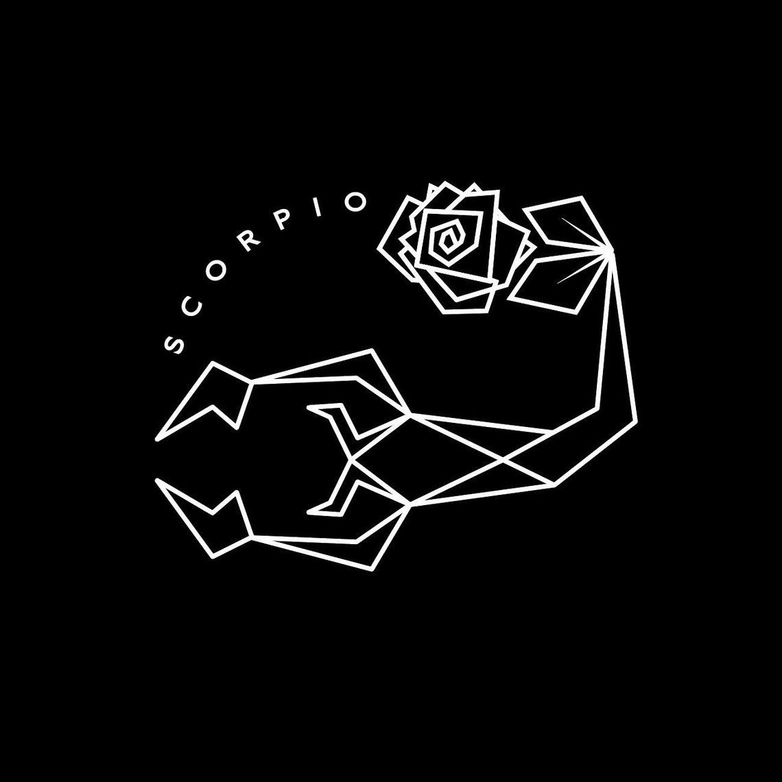 Scorpio Shirt / Scorpio T-shirt / Gift for Scorpio / Scorpio Birthday ...