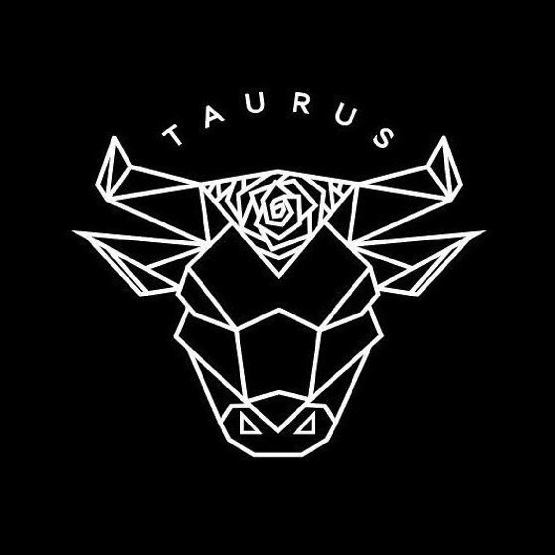 Taurus Shirt / Taurus T-shirt / Taurus Zodiac / Taurus | Etsy