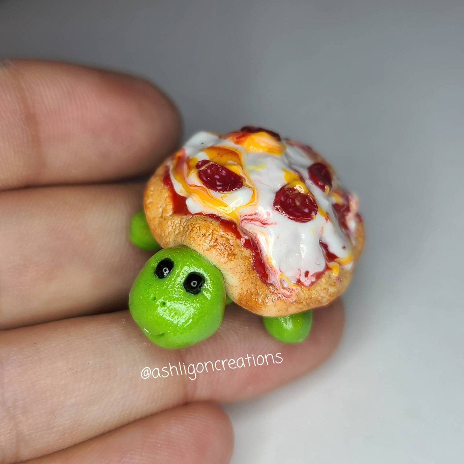 Fairy Garden Pizza Turtle - Etsy