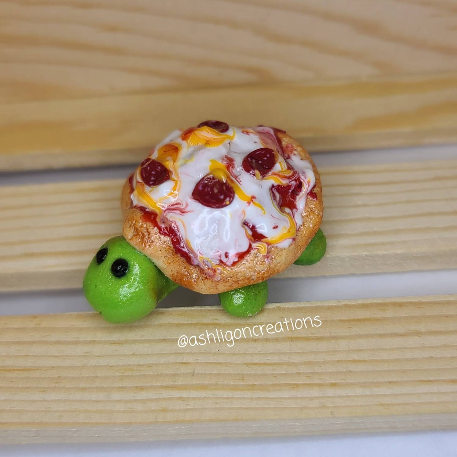 Fairy Garden Pizza Turtle - Etsy