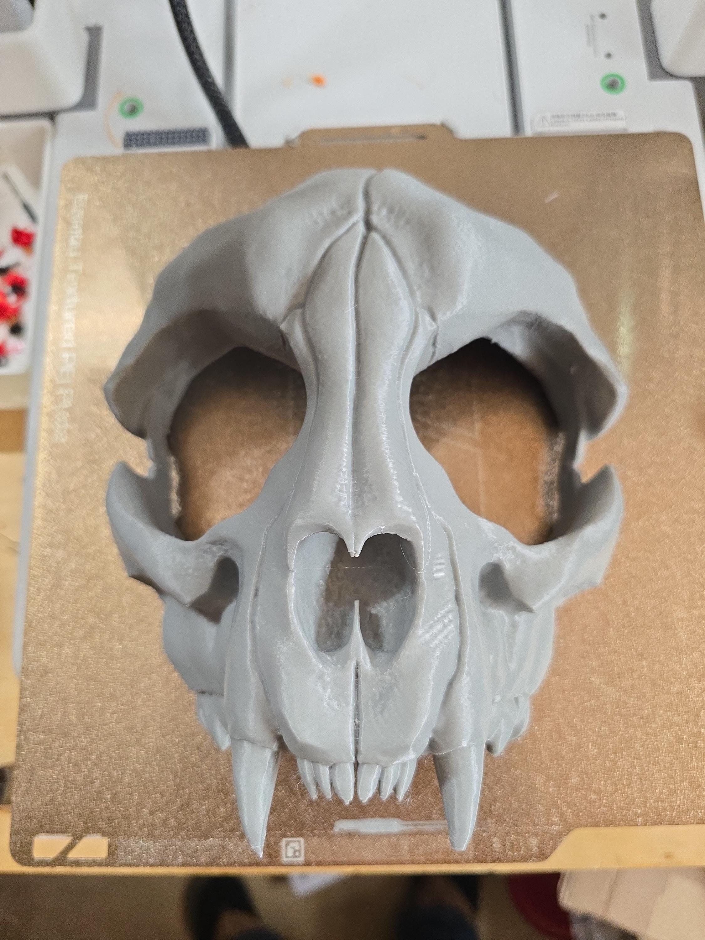 Feline Formidable: A 3d-printed Cat Skull Mask for Haunting Halloween ...