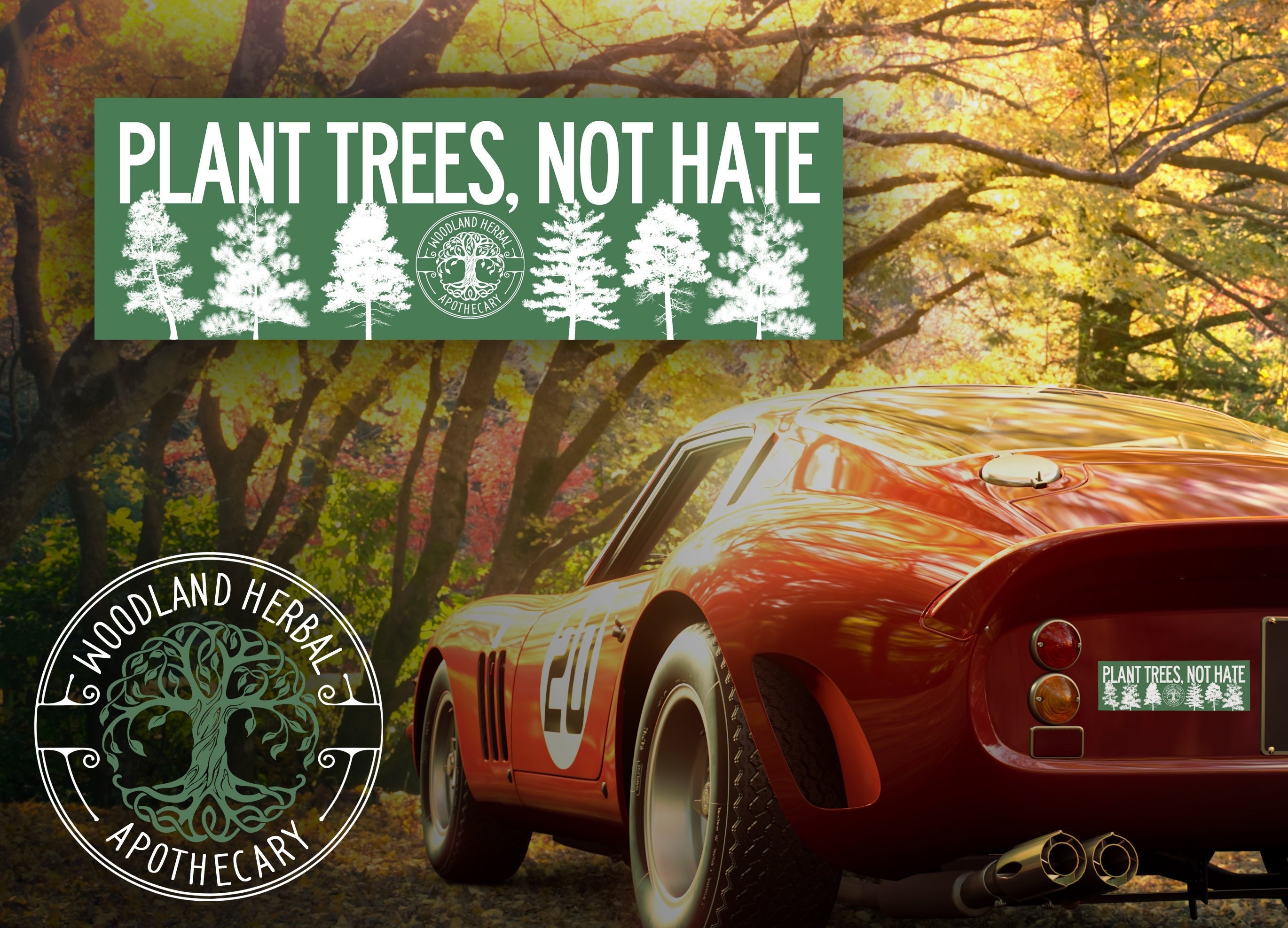 Bumper Stickers Make A Statement With Our Nature Inspired - Etsy