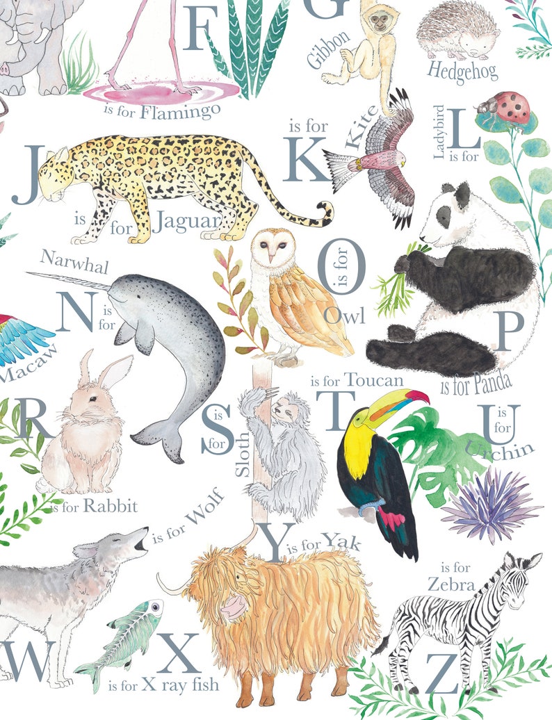 Animal Alphabet Poster. Watercolour art print. ABC. Alphabet | Etsy