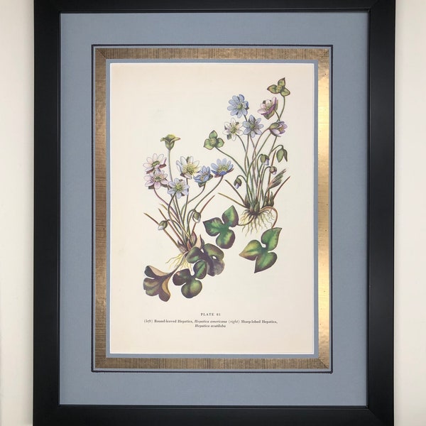 Botanical Book Plate - Etsy