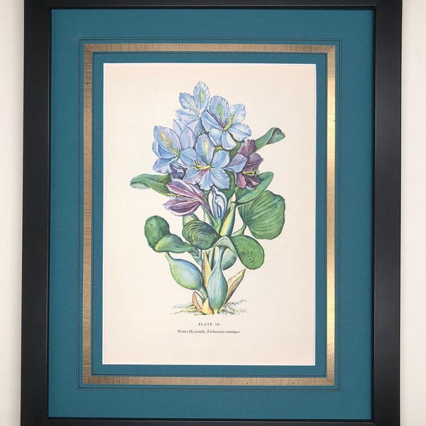 Antique Hyacinth Book - Etsy