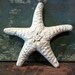 Cast Iron Starfish Sea Star Cottage Beach Seaside Ocean Nautical Home ...