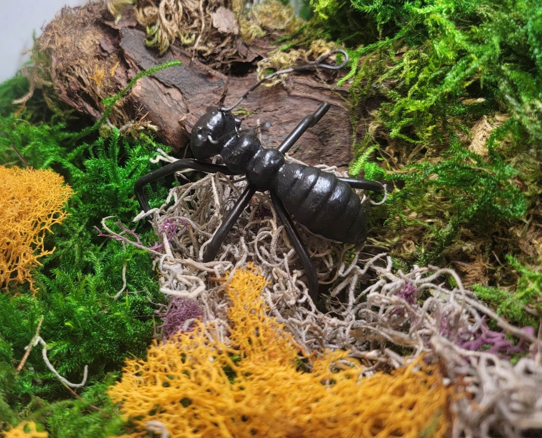 Cast Iron Ant-garden Decor-home Decor-metal Bug - Etsy