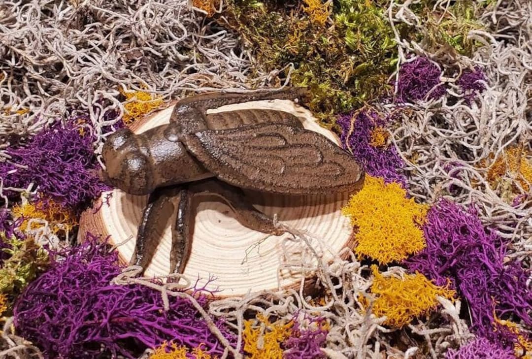 Cast Iron Brown House Fly Insect Home Garden Yard Lawn Outdoor Plant ...