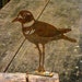 Cut Metal Rusty Killdeer Bird Garden Home Yard Outdoor Lawn Fence Art ...