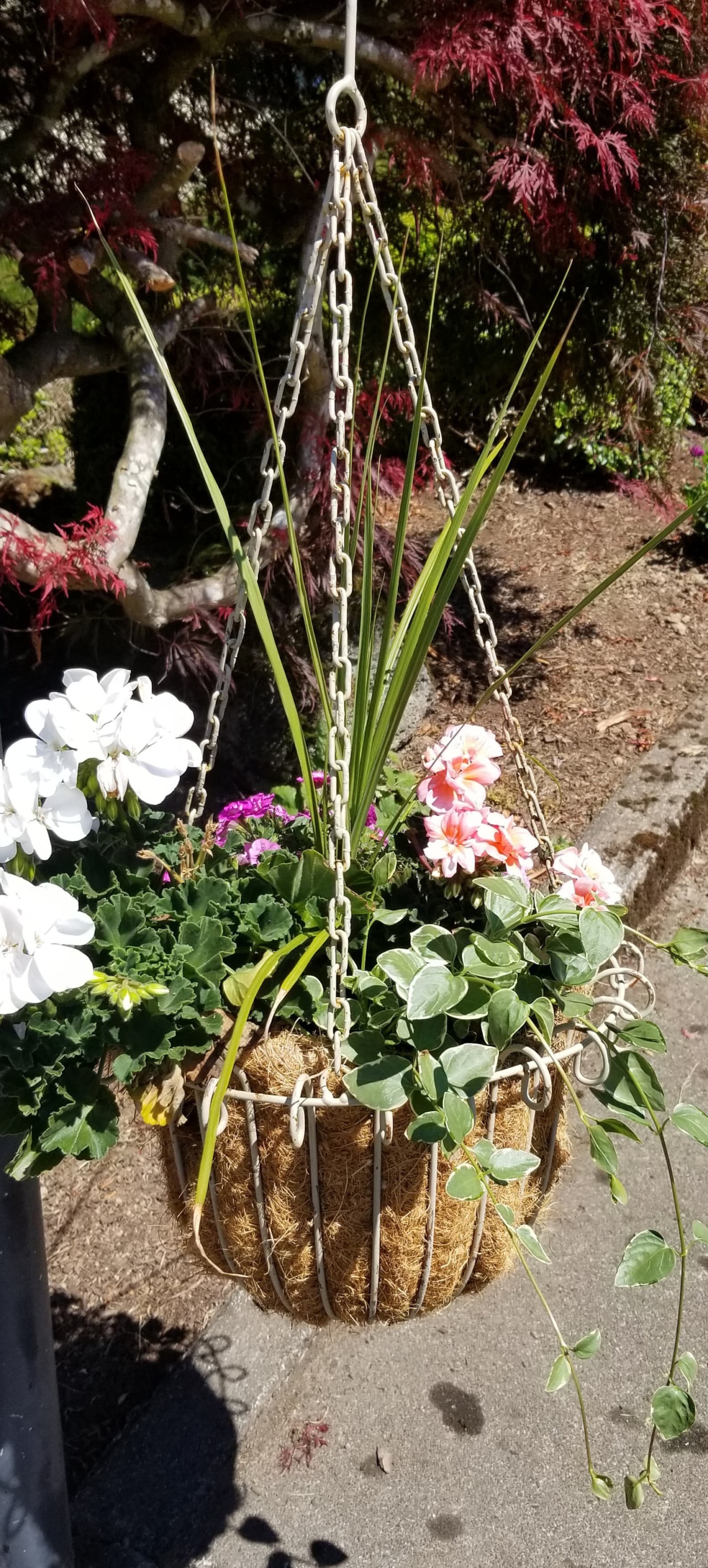Large Cottage Hanging Baskets Garden Home Yard Lawn Art Outdoor Window ...
