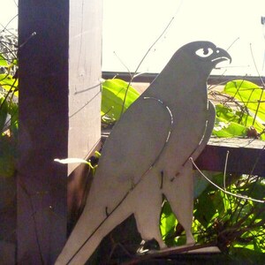 Cut Metal Rusty Peregrine Falcon Garden Home Yard Lawn Outdoor Art Tree ...