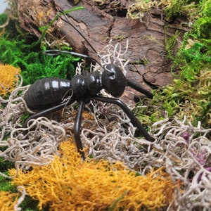 Cast Iron Ant-garden Decor-home Decor-metal Bug - Etsy