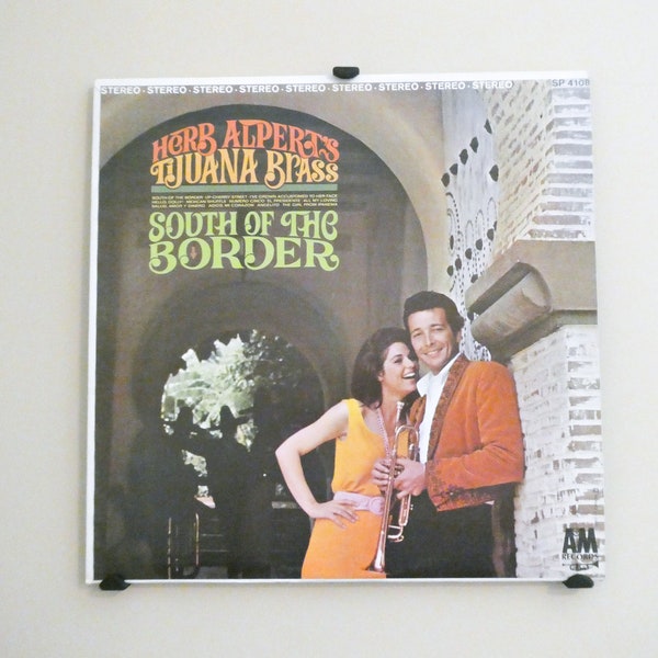 Vinyl Record Display - Etsy