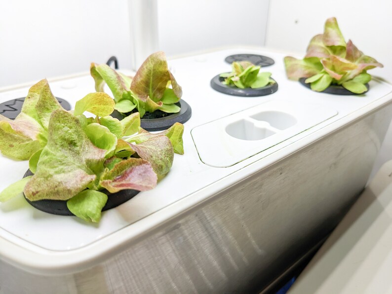 Aerogarden Durapod Reusable Grow Pods - 3 PACK - Etsy