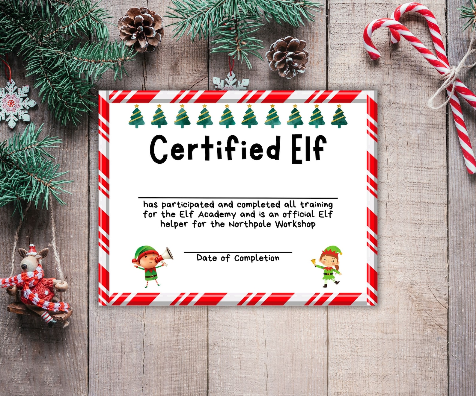 Elf Christmas Activities, Elf Certificate, Elf Application for the ...