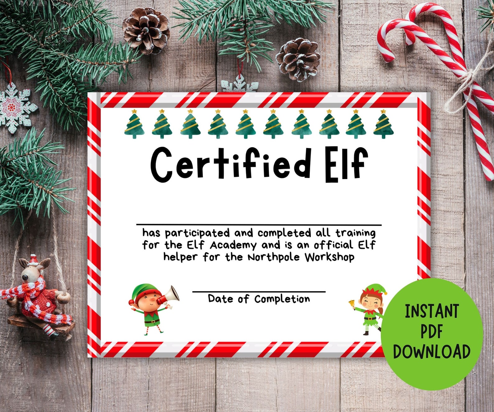 Elf Christmas Activities, Elf Certificate, Elf Application for the ...
