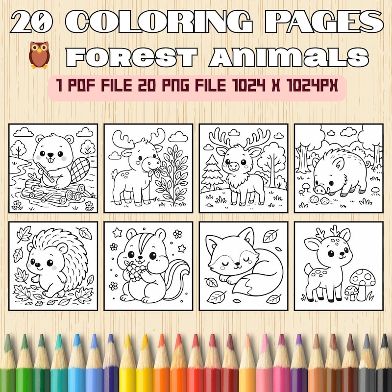 Forest Friends Art Print - Etsy