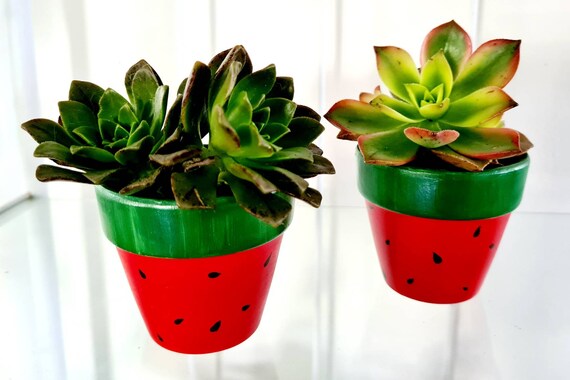 Floral & Garden Crafts Home & Hobby Watermelon Flower Pot Trio etna.com.pe