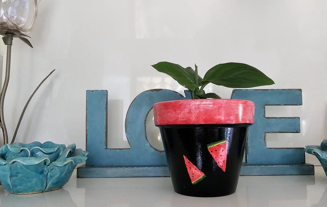 Handpainted Terracotta Watermelon Pot, Cute Indoor Planter (12 CMS) - Etsy