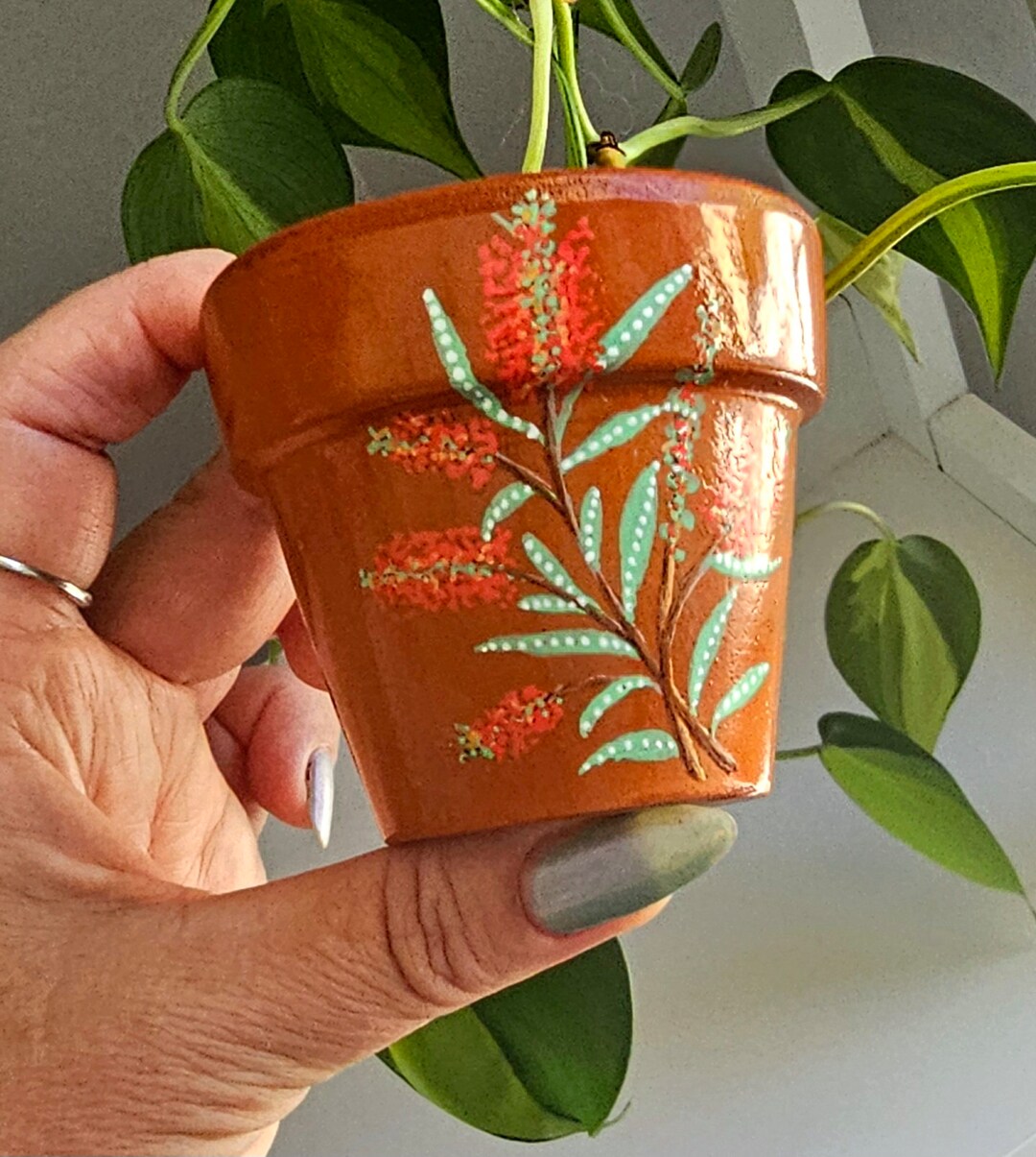 Leafy Pots, Australian Trees, Terracotta Pots X 3, Brown, Cute Pots ...