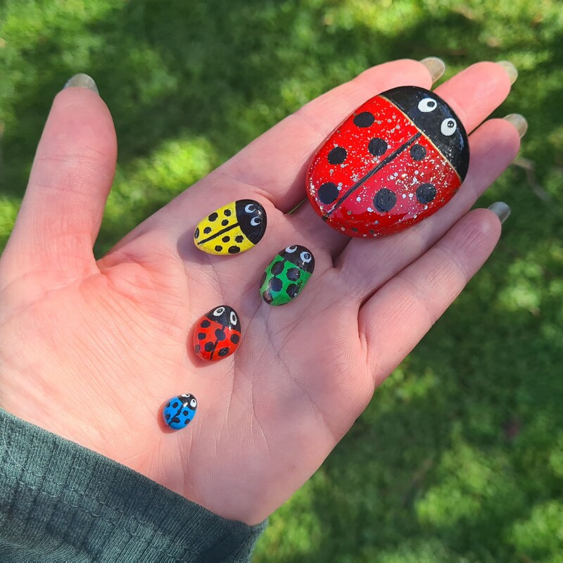 Ladybug Painted Rocks - Etsy
