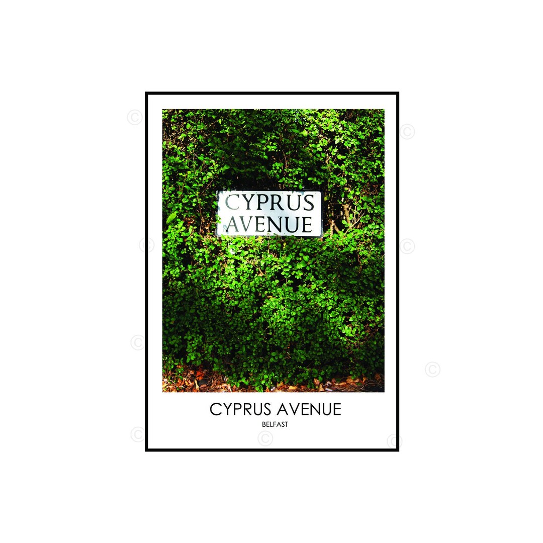 CYPRUS AVENUE Belfast - Etsy