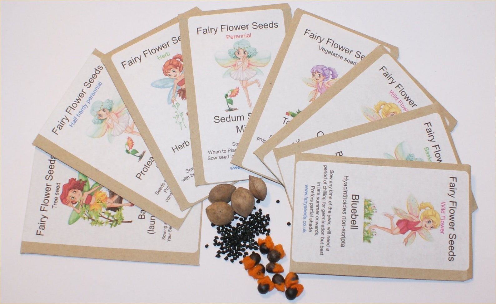 Sedum Ruben's Lizard X 25 Seeds Hardy Perennial Fairy - Etsy UK