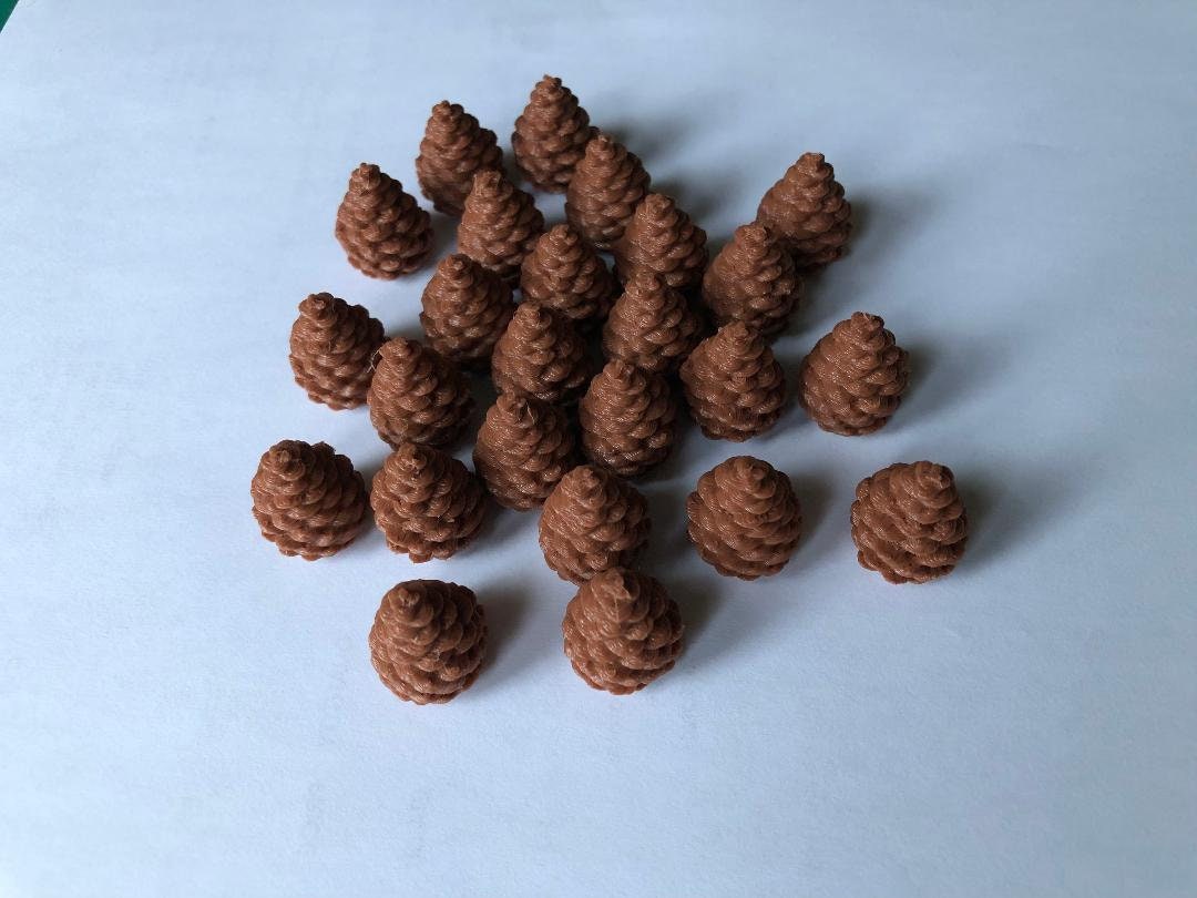 Cascadia Pine Cones - Etsy