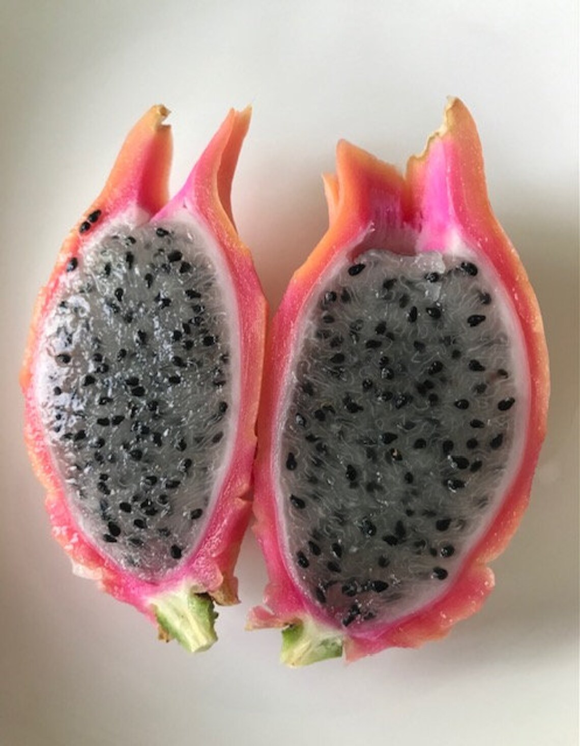 Yellow Thai Dragon Fruit Flesh Cutting 3.8-4.0 Foot 1 Piece - Etsy