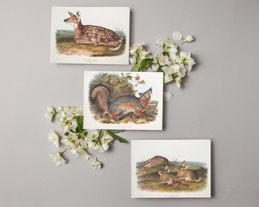 Audubon Animal Prints Set: Vintage Deer, Hare & Fox Wall Art (digital ...