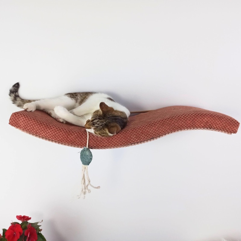 Cat Perches for Wall Hanging - Etsy UK