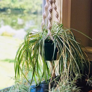 Macrame Workshop Beginner Private Macrame Workshop Class | Etsy