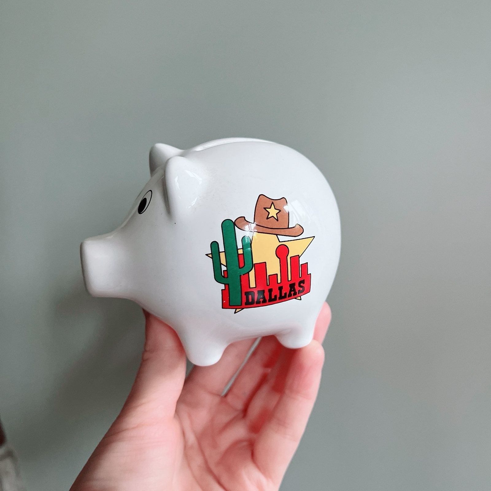 Dallas Pig Adorable Coin Money Box - Etsy