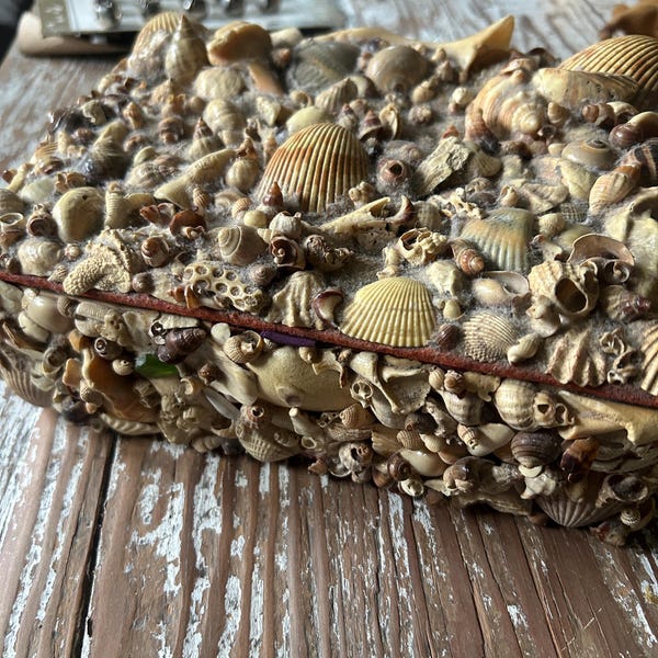 Shell Boxes - Etsy