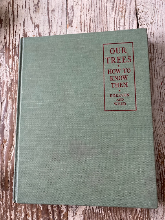 Vintage Tree Book Our Trees and How to Know Them - Etsy