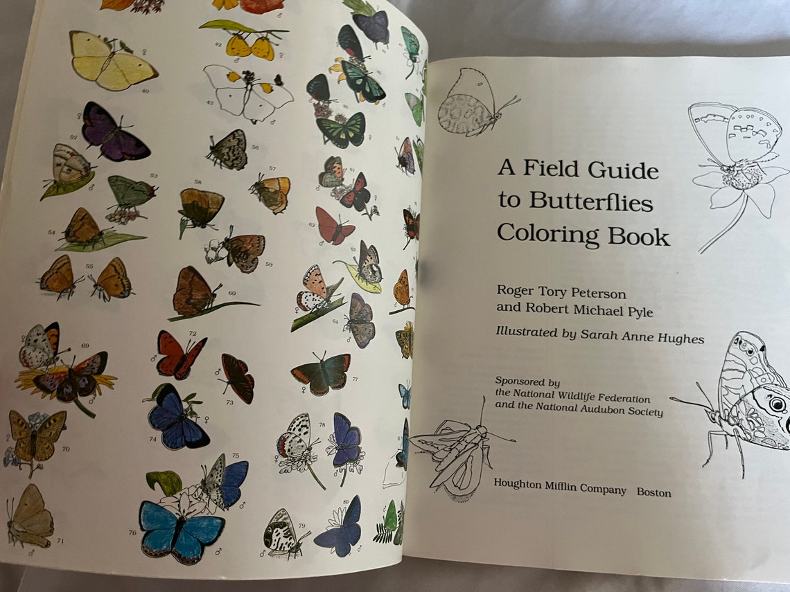 Vintage Audubon Society Field Guide Coloring Book for - Etsy