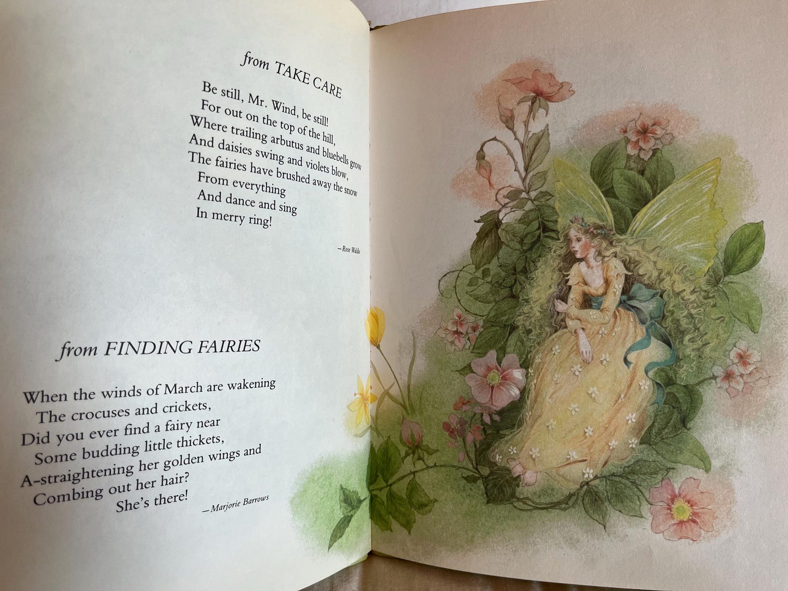Fairy Poems for the Very Young, Illustrated by Beverly Manson Beautiful ...