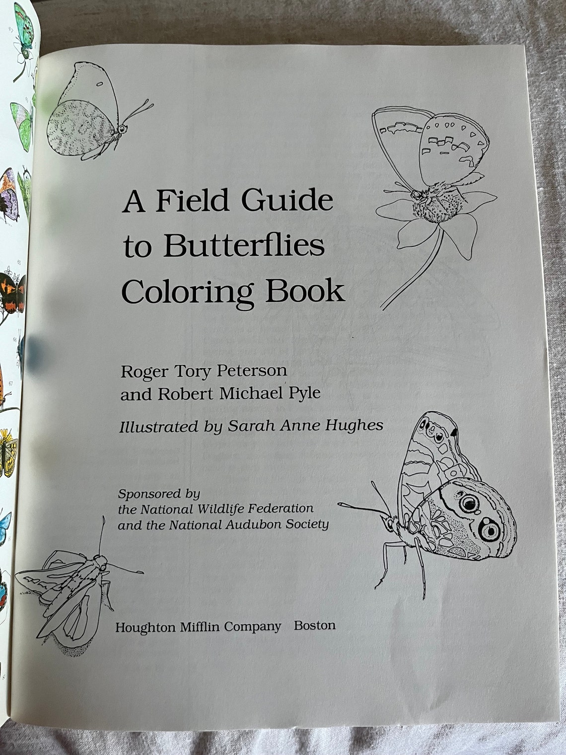 Vintage Audubon Society Field Guide Coloring Book for - Etsy