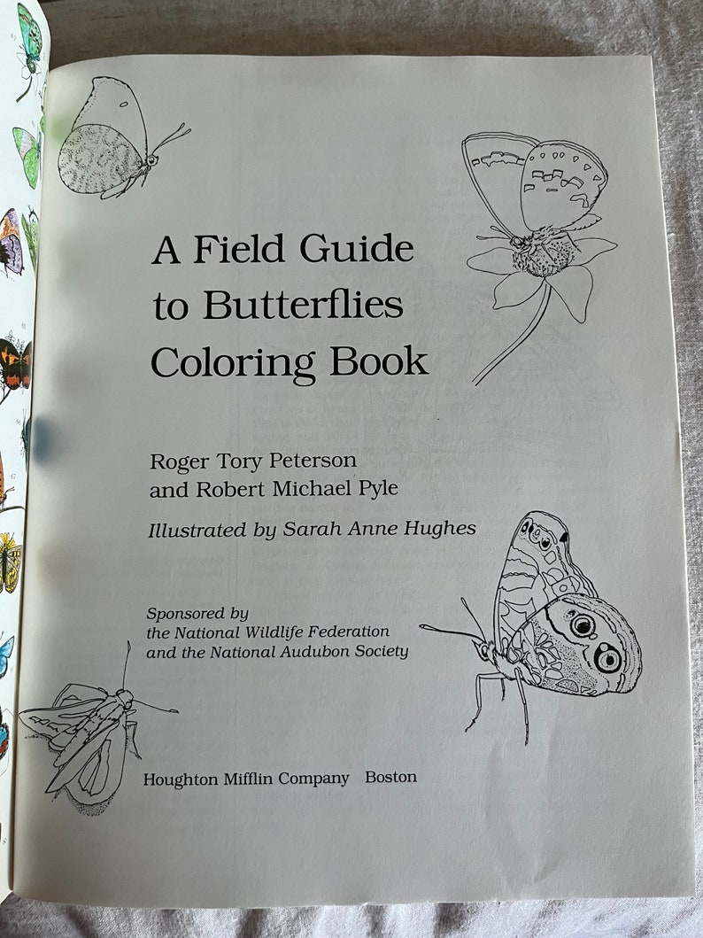 Vintage Audubon Society Field Guide Coloring Book for - Etsy