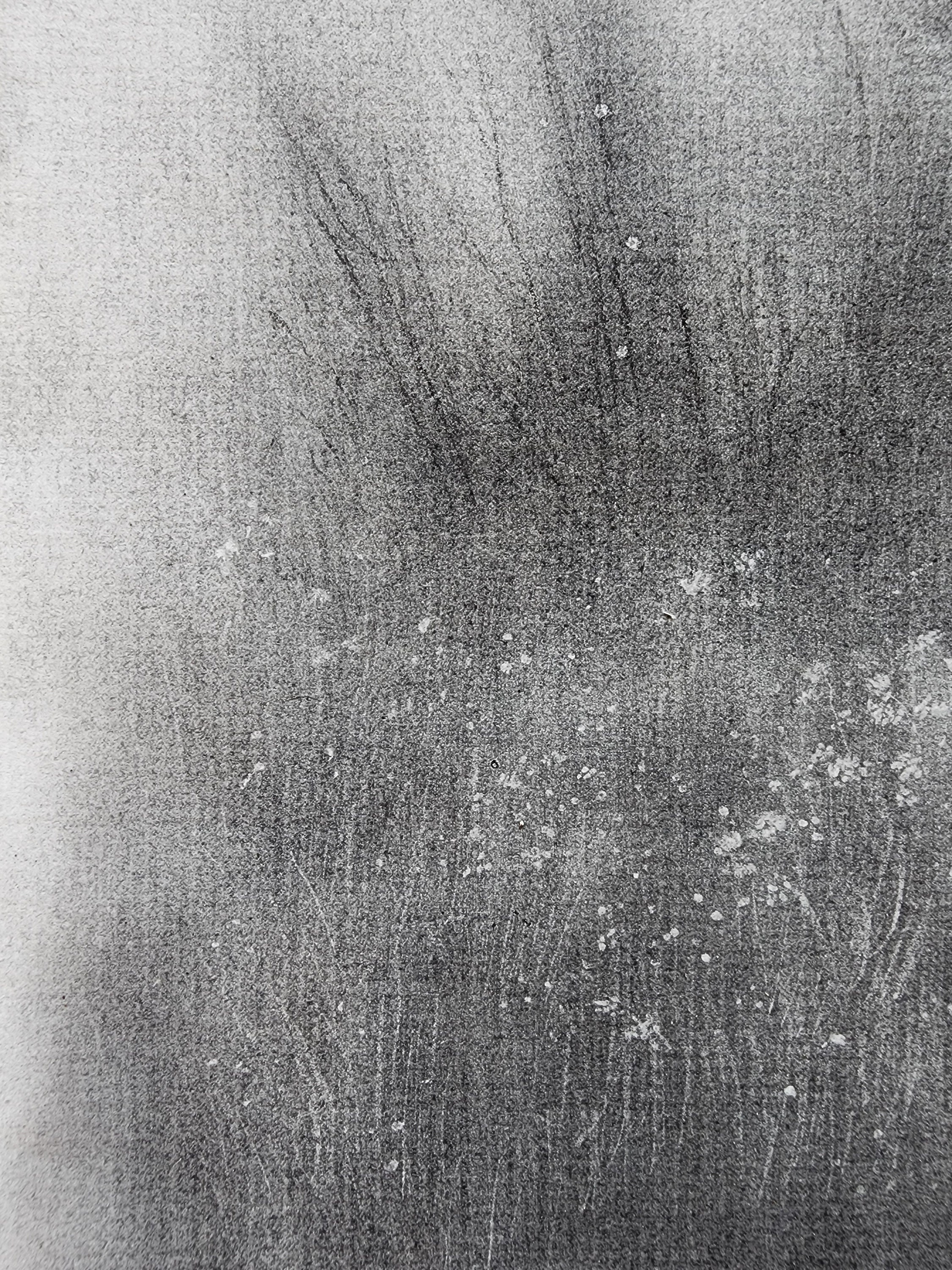 Charcoal Landscape Drawing Landscape Art Landscape Wall Art Charcoal ...