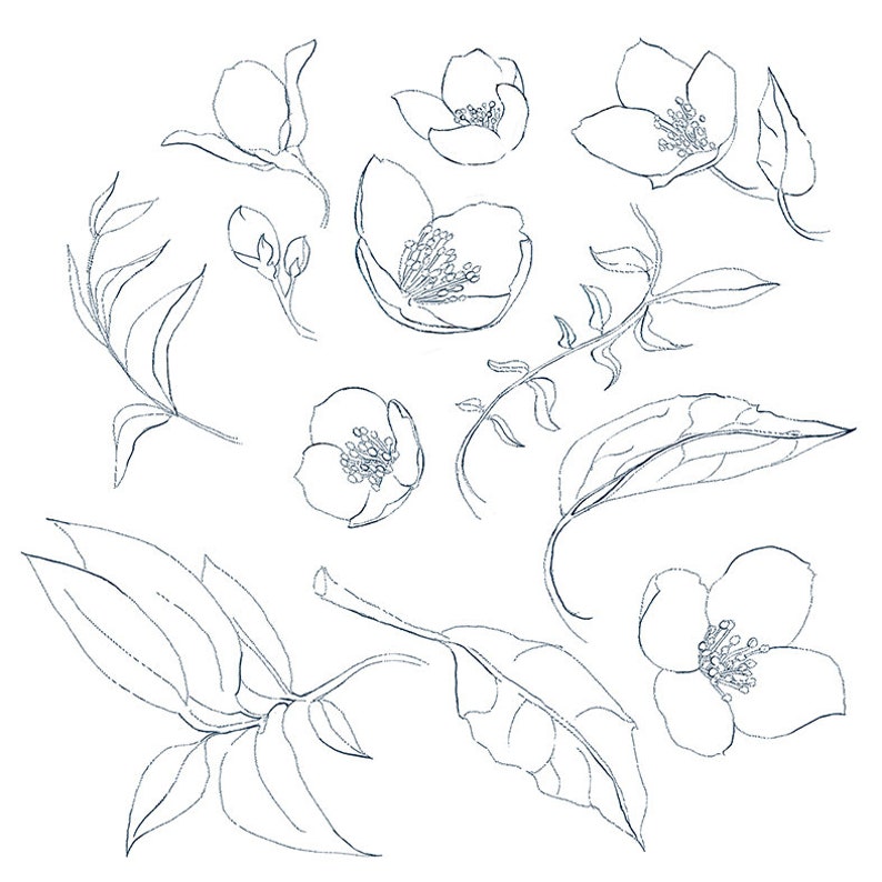 Graphite Flower Fine Hand Drawn Line Clipart - Caricia - Etsy