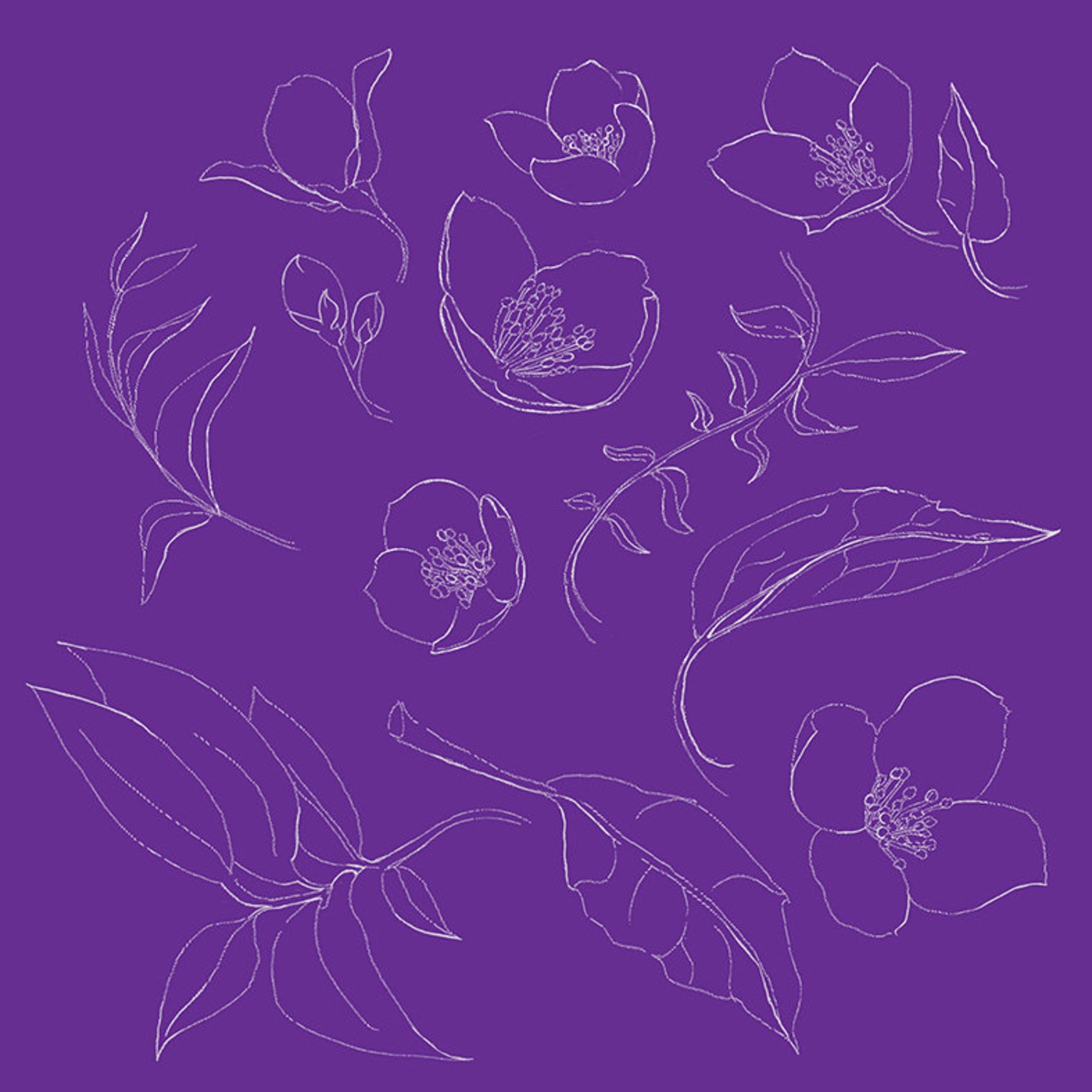Graphite Flower Fine Hand Drawn Line Clipart - Caricia - Etsy