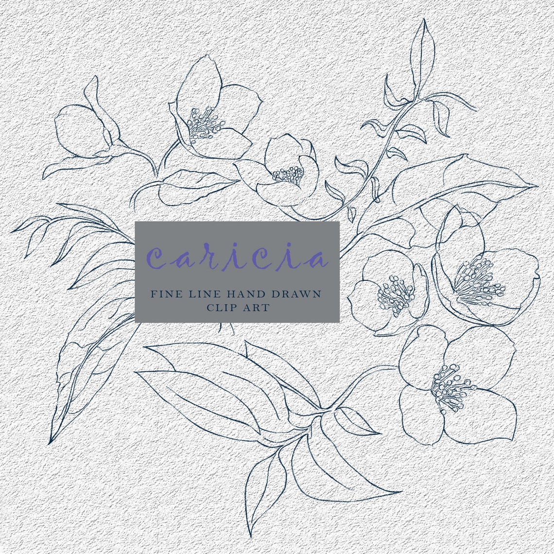 Graphite Flower Fine Hand Drawn Line Clipart - Caricia - Etsy