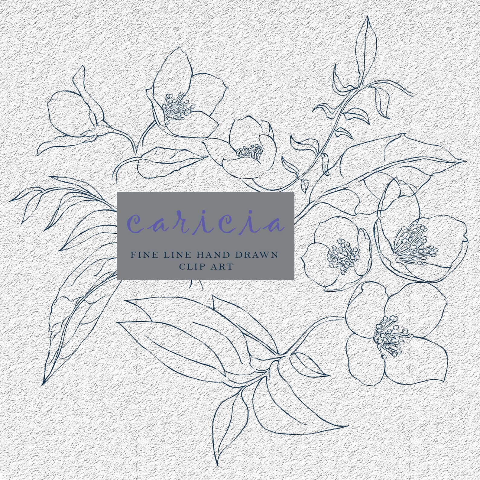 Graphite Flower Fine Hand Drawn Line Clipart - Caricia - Etsy