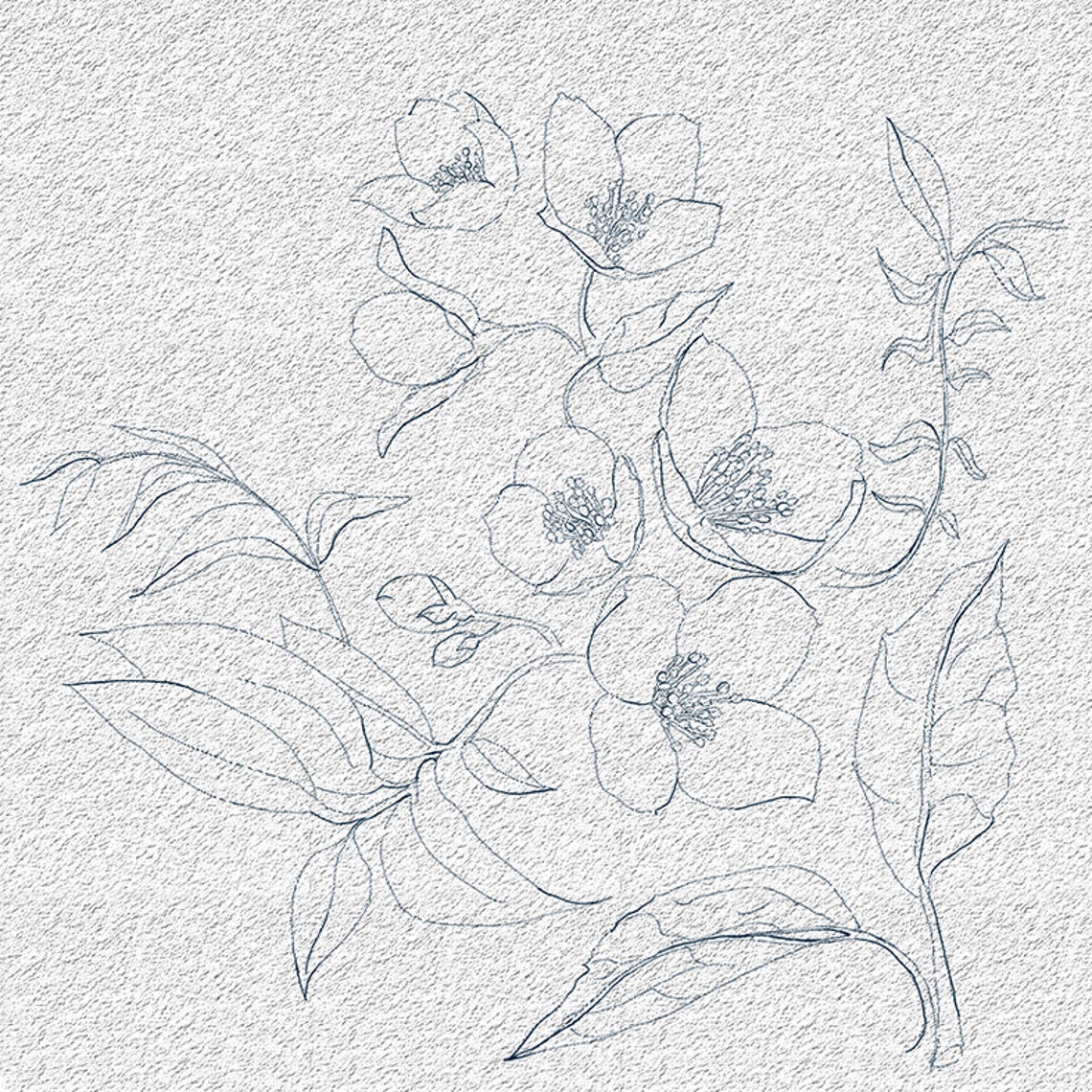 Graphite Flower Fine Hand Drawn Line Clipart - Caricia - Etsy