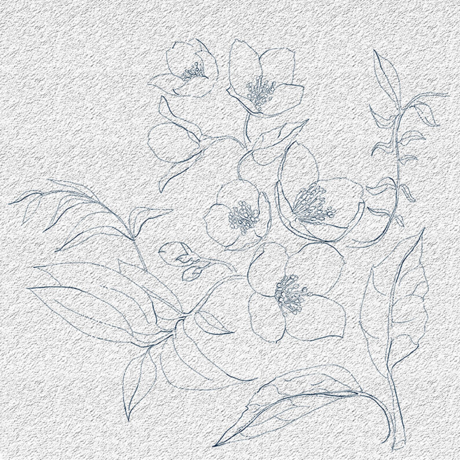 Graphite Flower Fine Hand Drawn Line Clipart - Caricia - Etsy