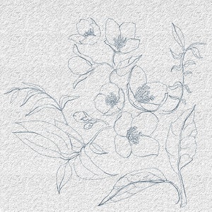 Graphite Flower Fine Hand Drawn Line Clipart - Caricia - Etsy